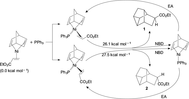 Norbornene, norbornadiene and their derivatives: promising semi ...