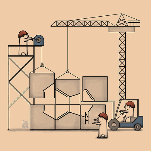 Synthesis of indoles: recent advances - IOPscience