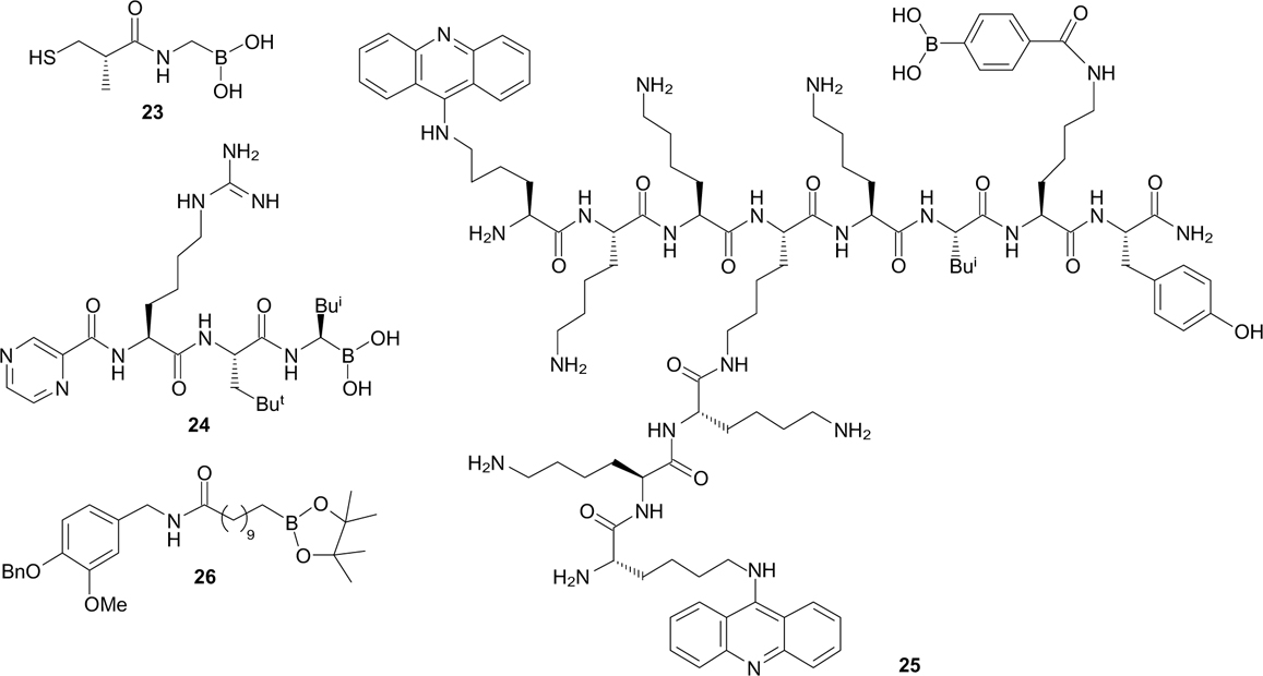 Progress in the medicinal chemistry of organoboron compounds - IOPscience