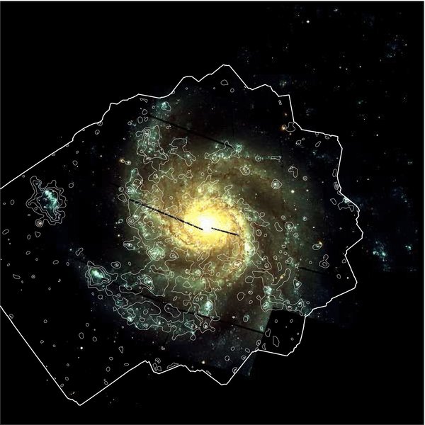 THE CHANDRA M101 MEGASECOND: DIFFUSE EMISSION - IOPscience