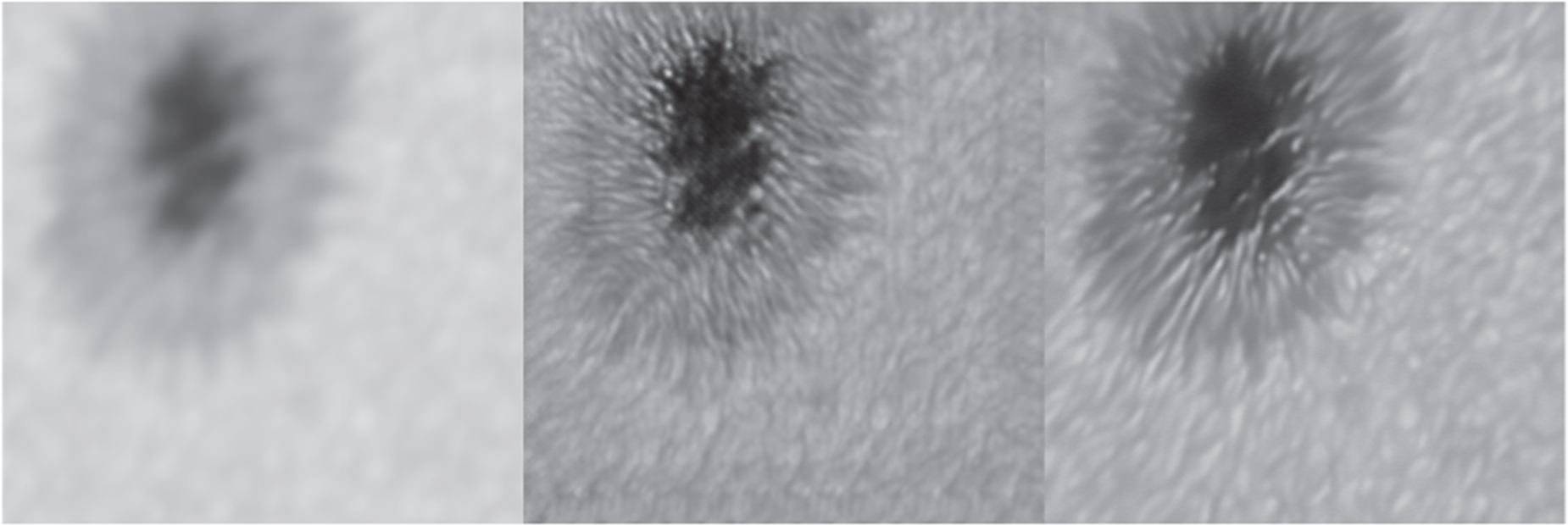 Improving the Spatial Resolution of Solar Images Based on an Improved Conditional Denoising ...