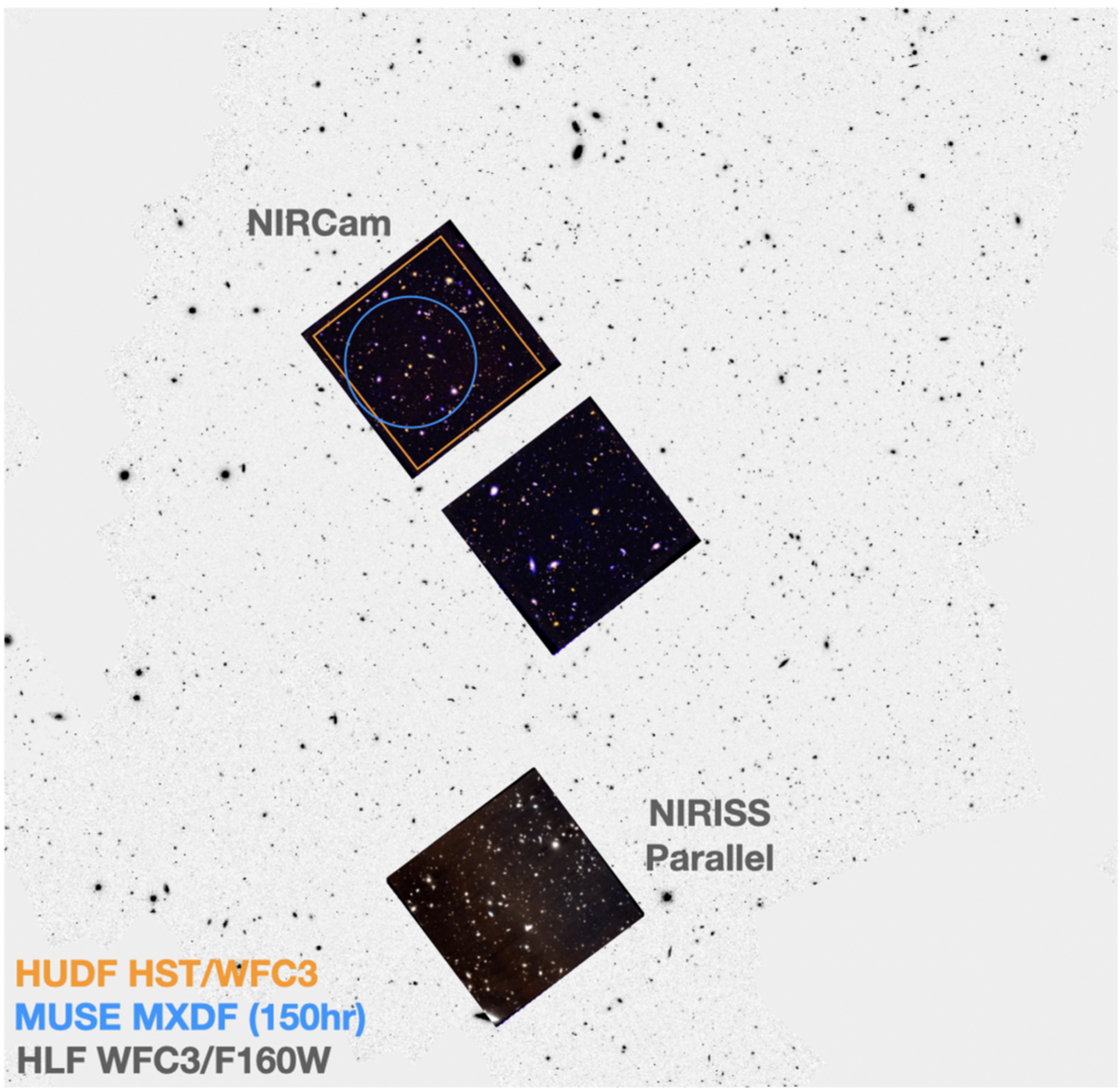 JEMS: A Deep Medium-band Imaging Survey in the Hubble Ultra Deep Field with JWST NIRCam and ...