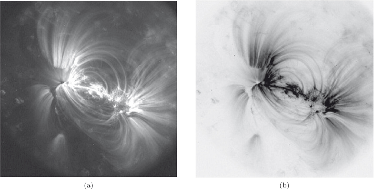 Coronal Loop Detection Using Multiscale Convolutional Neural Networks - IOPscience