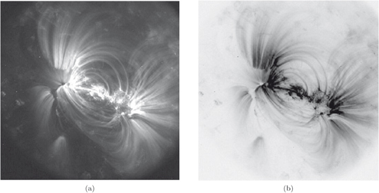 Coronal Loop Detection Using Multiscale Convolutional Neural Networks ...