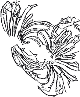 Coronal Loop Detection Using Multiscale Convolutional Neural Networks - IOPscience