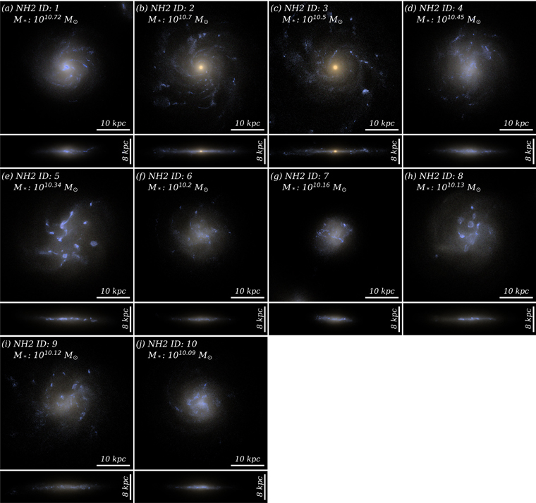 On the Significance of the Thick Disks of Disk Galaxies - IOPscience