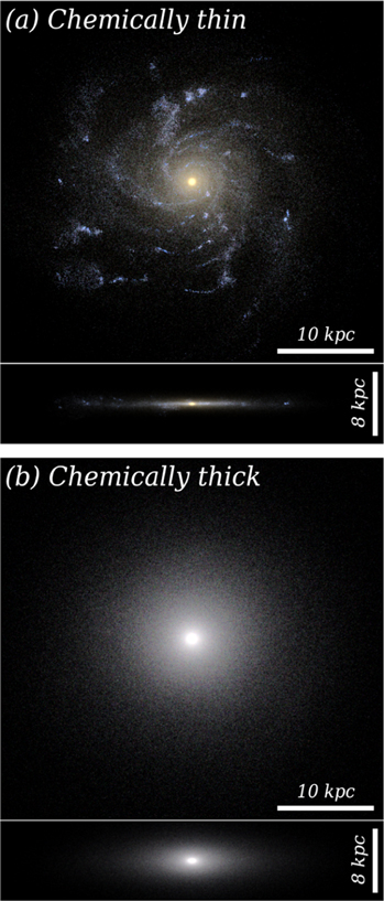 On the Significance of the Thick Disks of Disk Galaxies - IOPscience