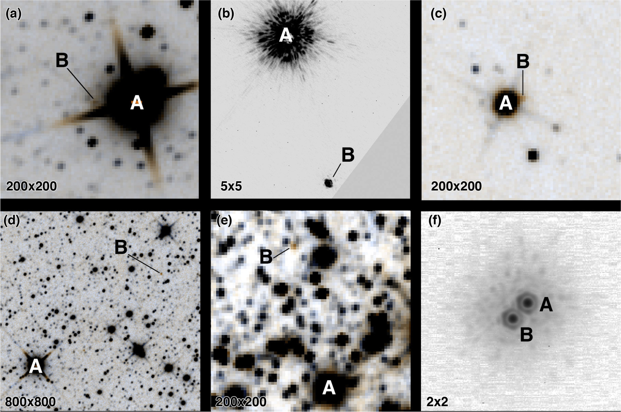 The Initial Mass Function Based on the Full-sky 20 pc Census of ∼3600 ...