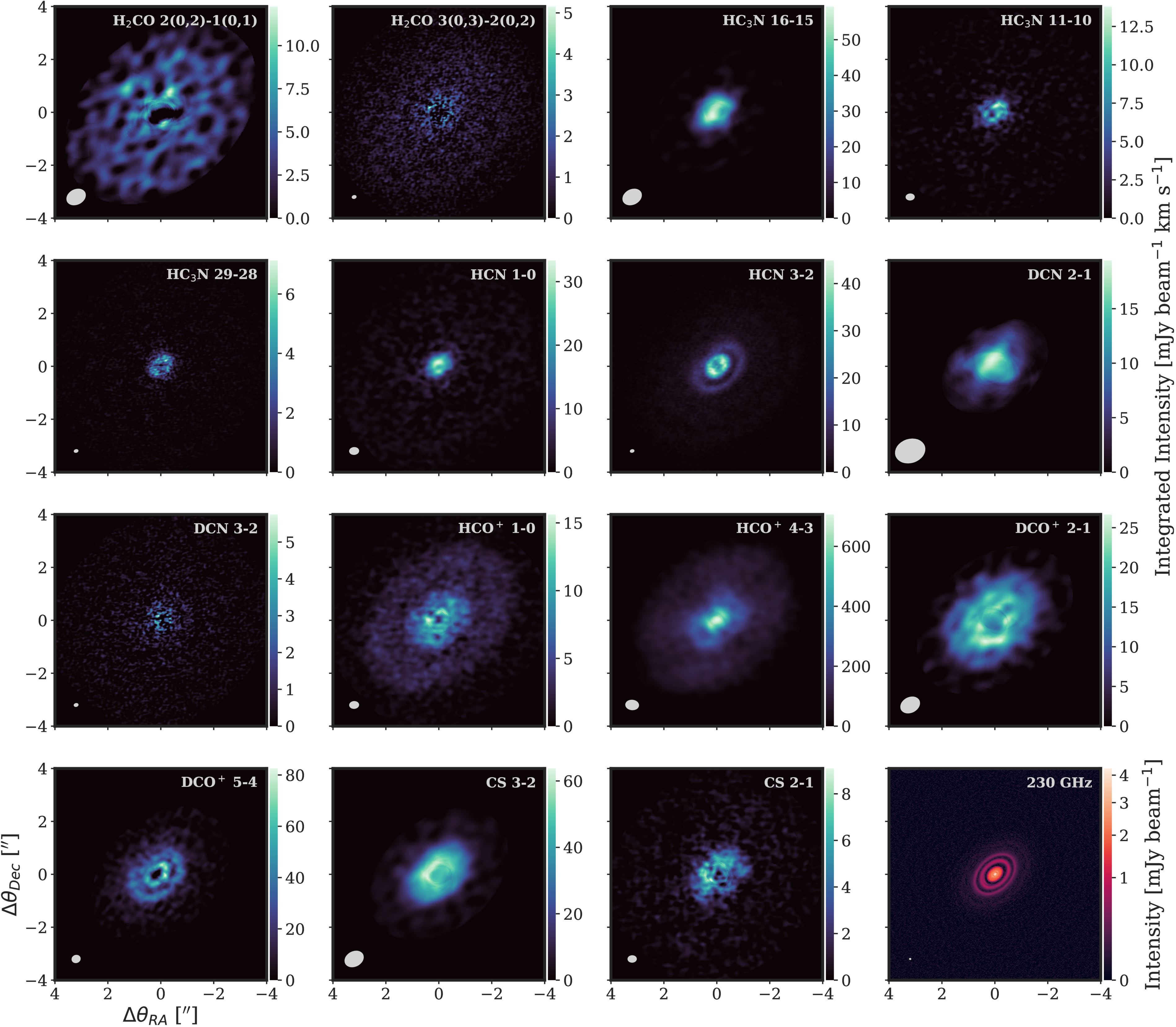 Unveiling the Chemical Complexity and C/O Ratio of the HD 163296 ...