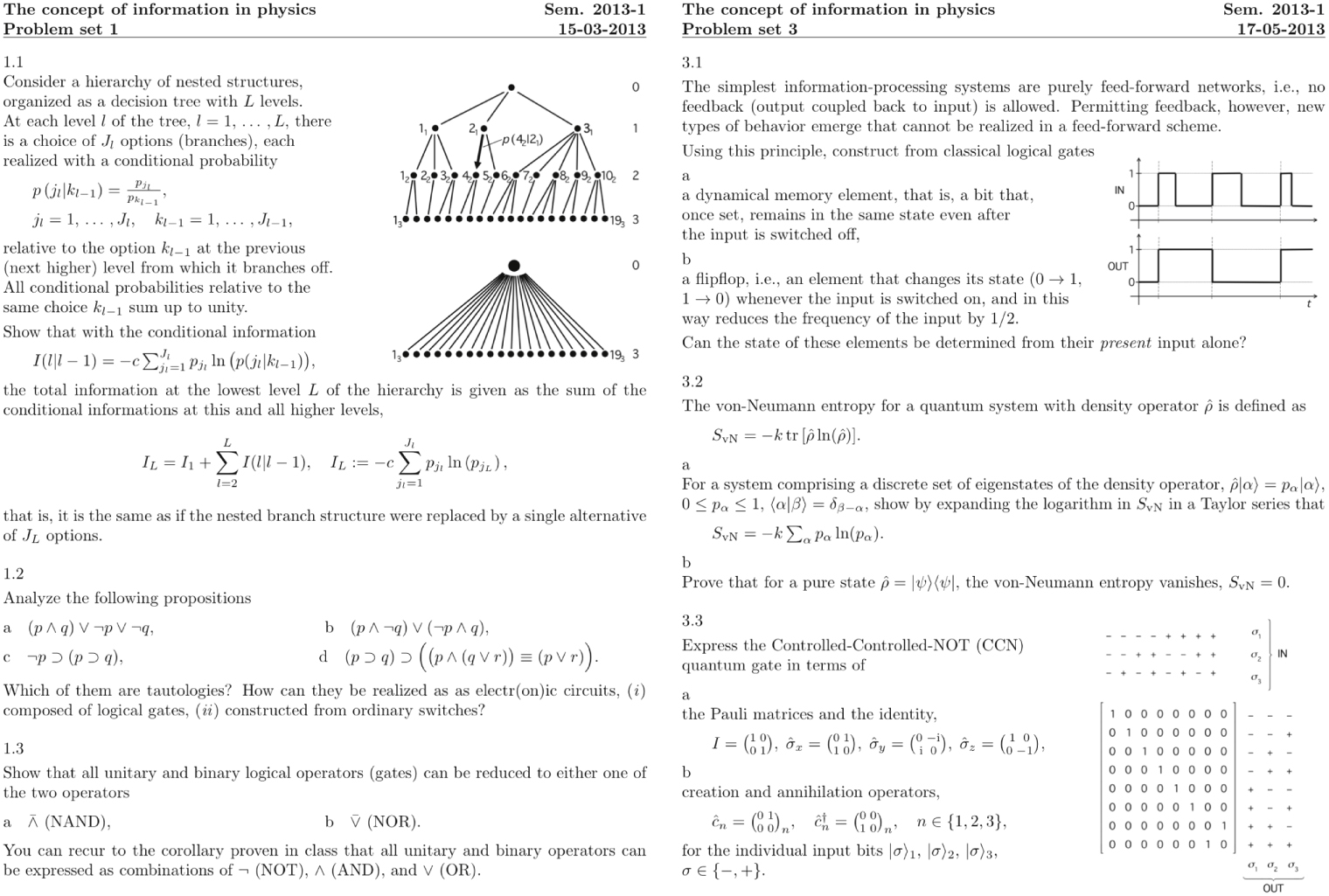 ‘The concept of information in physics’: an interdisciplinary topical ...