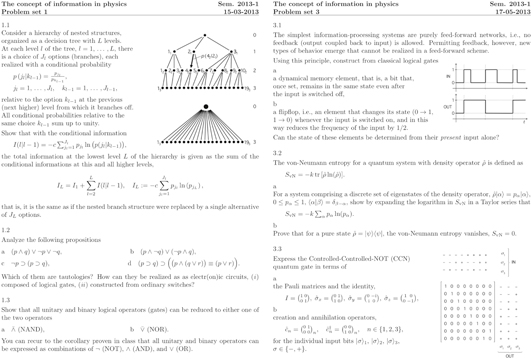 'The concept of information in physics': an interdisciplinary topical ...