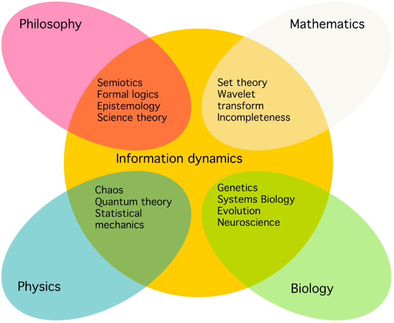 'The concept of information in physics': an interdisciplinary topical ...
