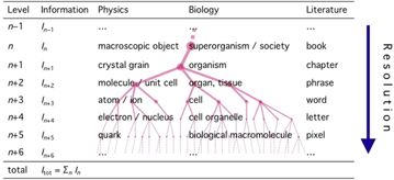 'The concept of information in physics': an interdisciplinary topical ...