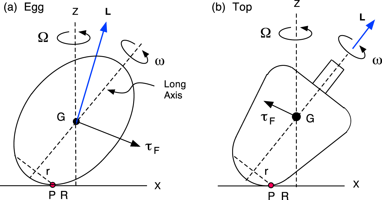 Why does a spinning egg rise? - IOPscience