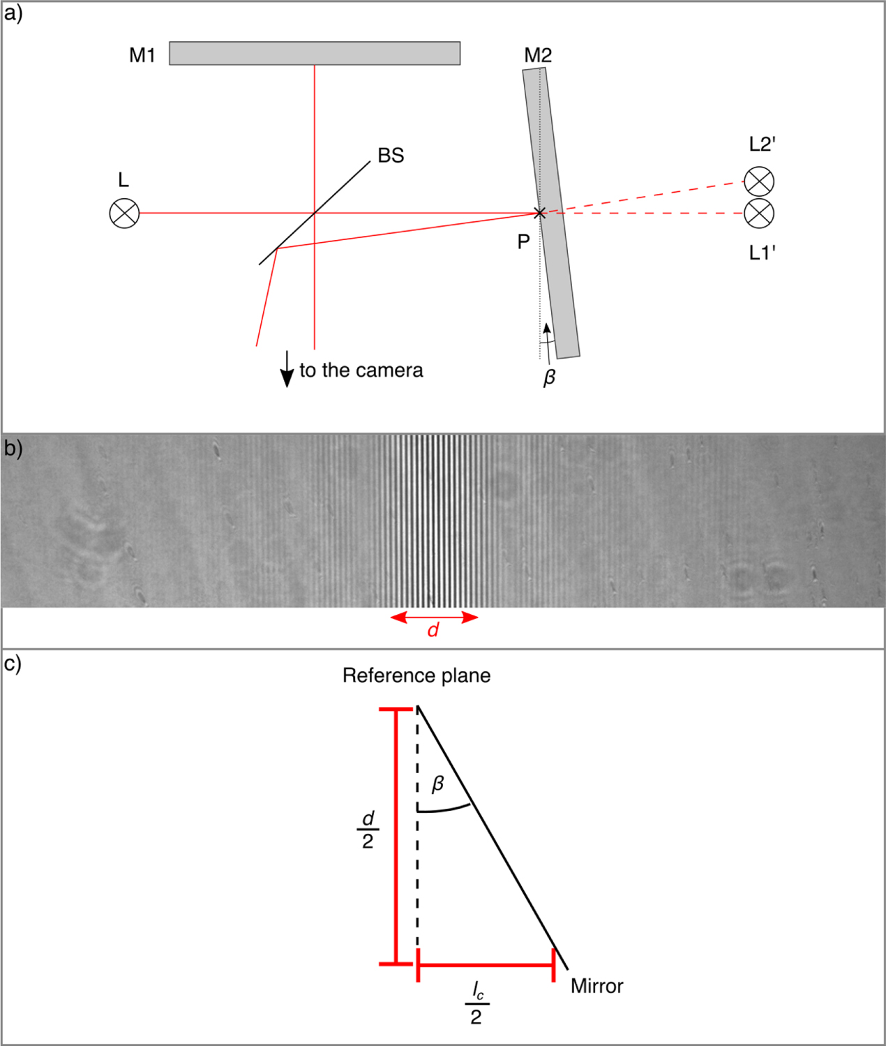 Visualizing and manipulating the spatial and temporal coherence of ...