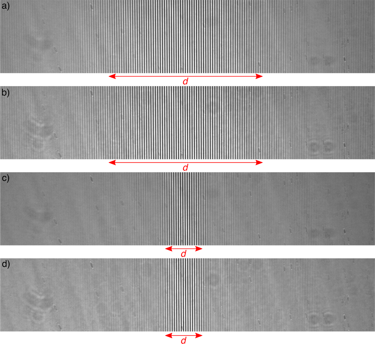 Visualizing and manipulating the spatial and temporal coherence of ...