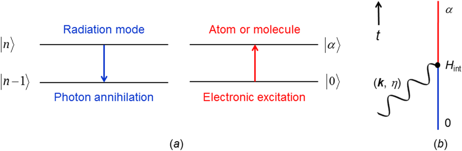 Quantum field representation of photon-molecule interactions - IOPscience
