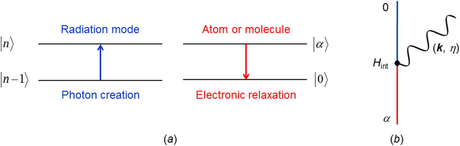 Quantum field representation of photon-molecule interactions - IOPscience