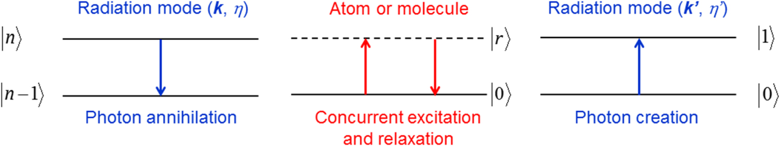 Quantum field representation of photon-molecule interactions - IOPscience