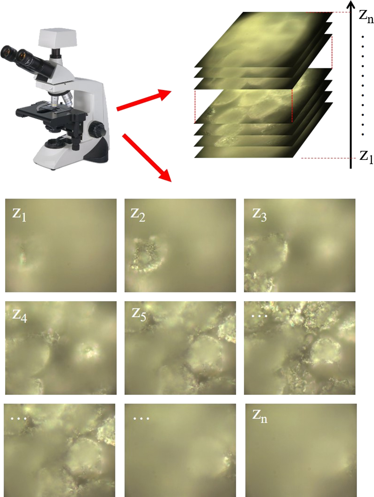 Surface microtopography for everyone - IOPscience