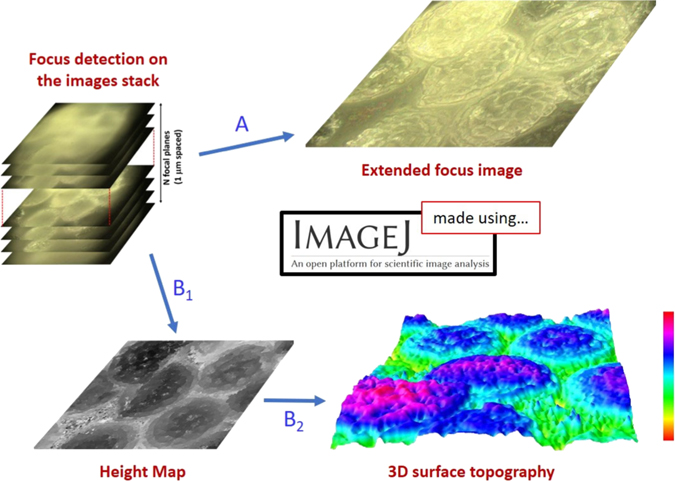 Surface microtopography for everyone - IOPscience