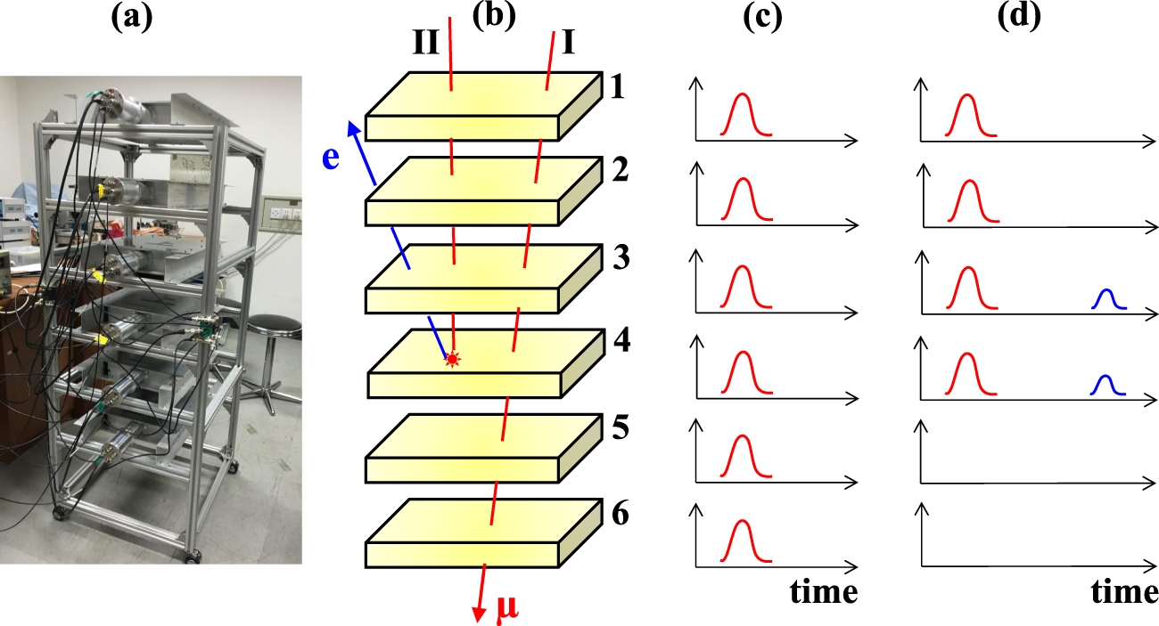 Observing the polarization of cosmic-ray muons in student physics ...