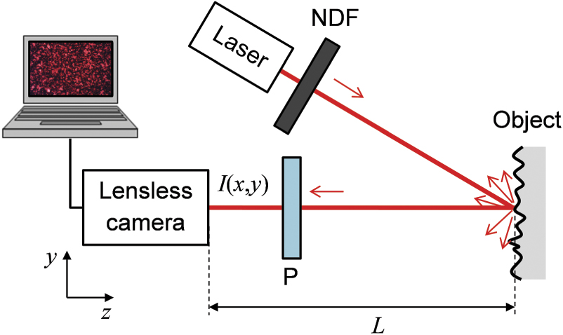Didactic laser speckle experiments with a lensless camera - IOPscience