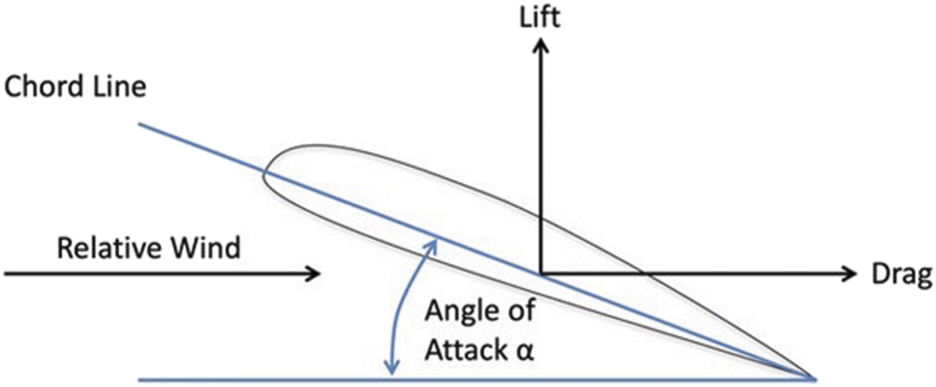 Air flow over a flapping bird’s wing at low Reynolds numbers ...