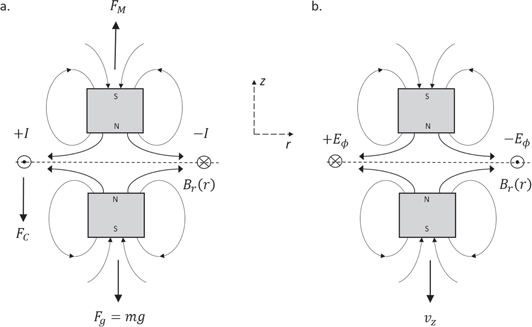 A 'Dynamic Kibble' mass balance for the undergraduate physics teaching ...