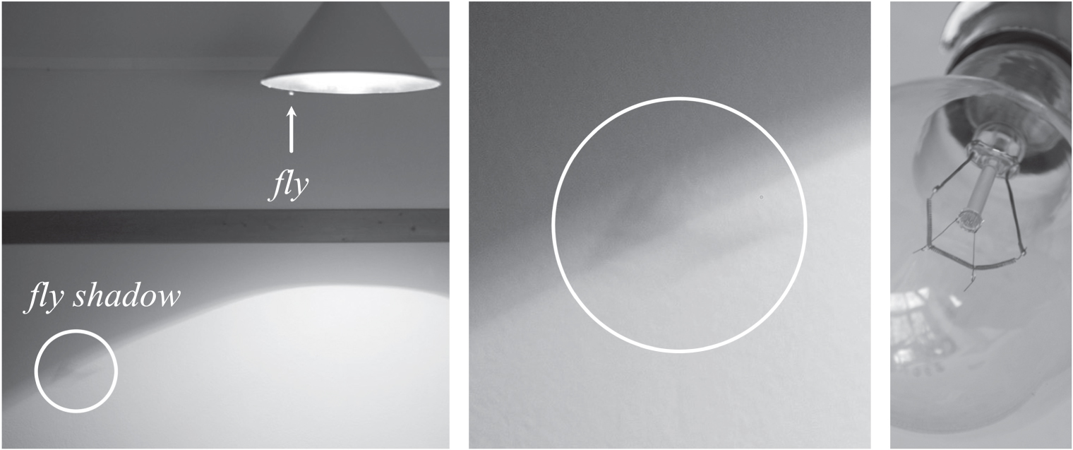 Soft shadow images - IOPscience