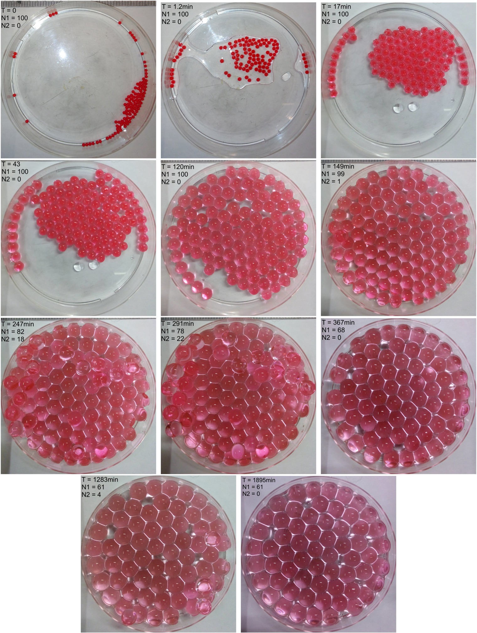 Packing soft spheres: experimental demonstrations with hydrogels ...
