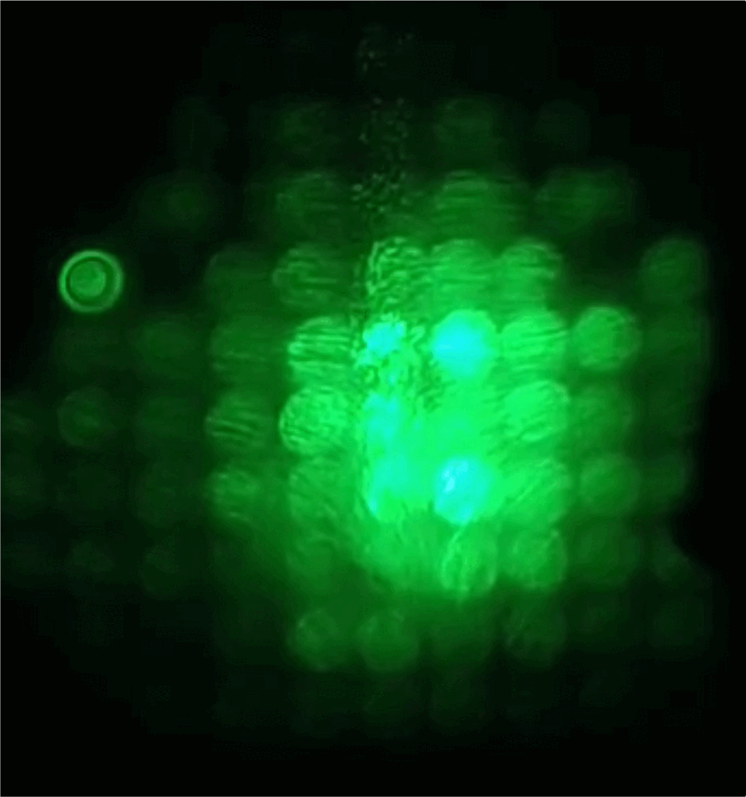 Speckle interference for naked-eye detection of vibrations - IOPscience