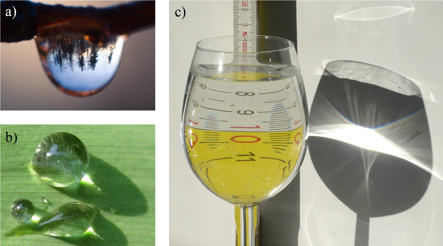 The eye caustic of a ball lens - IOPscience