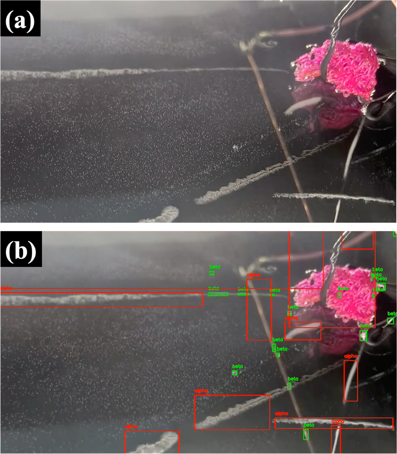 Real-time particle visualization in an electric-cooled cloud chamber ...