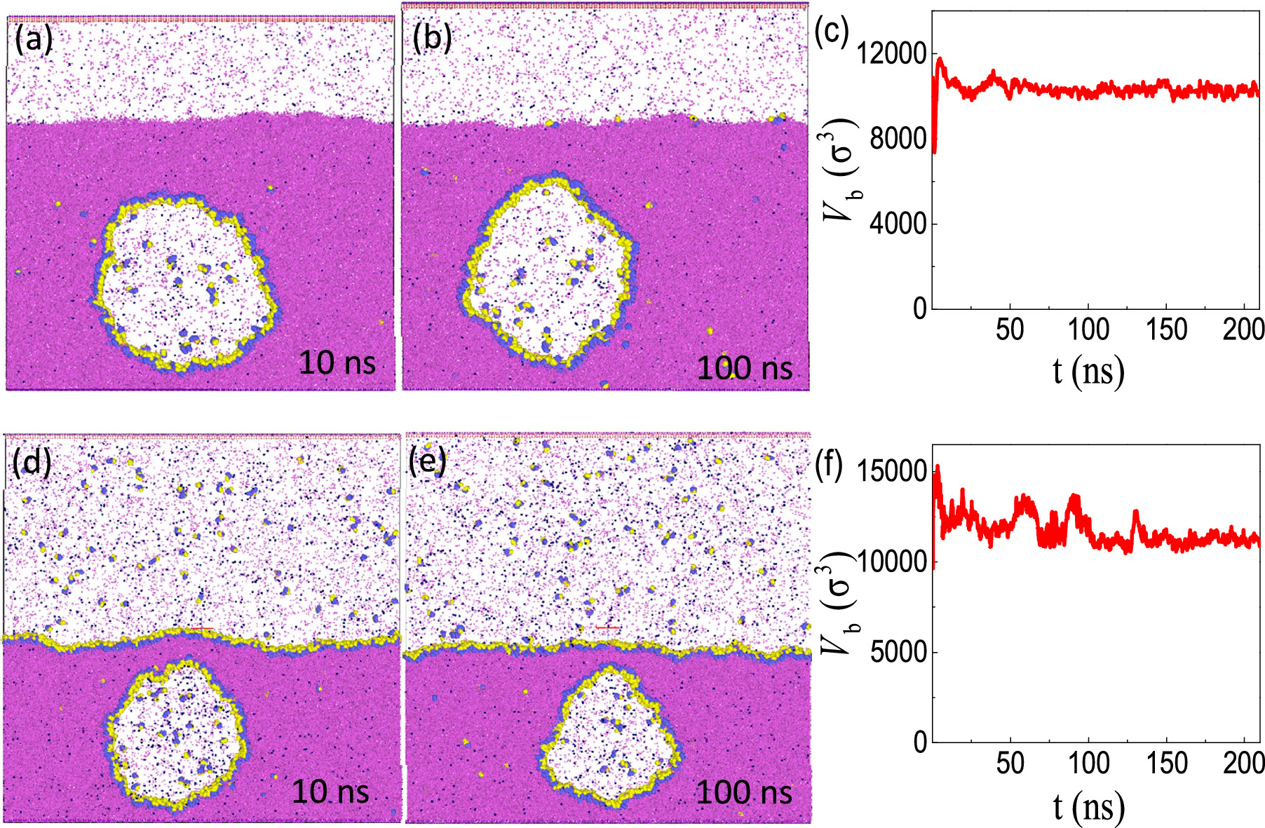 Stable bulk nanobubbles can be regarded as gaseous analogues of ...