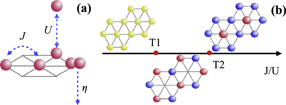 Mott insulator-density ordered superfluid transition and 'shamrock ...