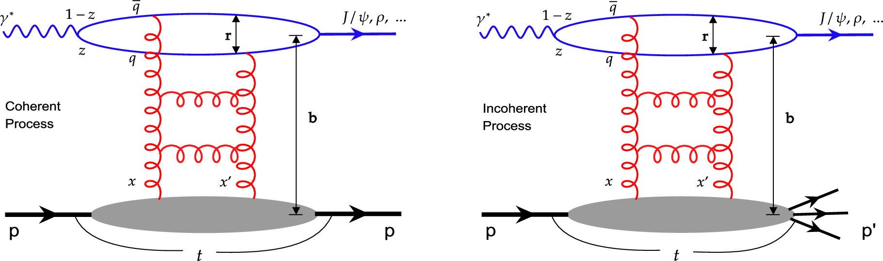Accessing the stringy structure of proton in the framework of Color ...