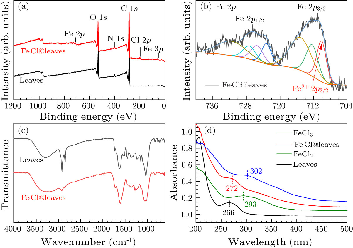 New Insight of Fe Valence State Change Using Leaves: A Combined ...