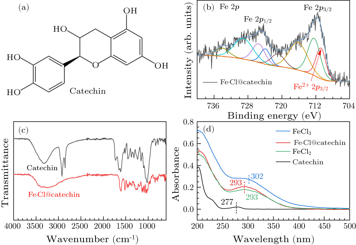 New Insight of Fe Valence State Change Using Leaves: A Combined ...
