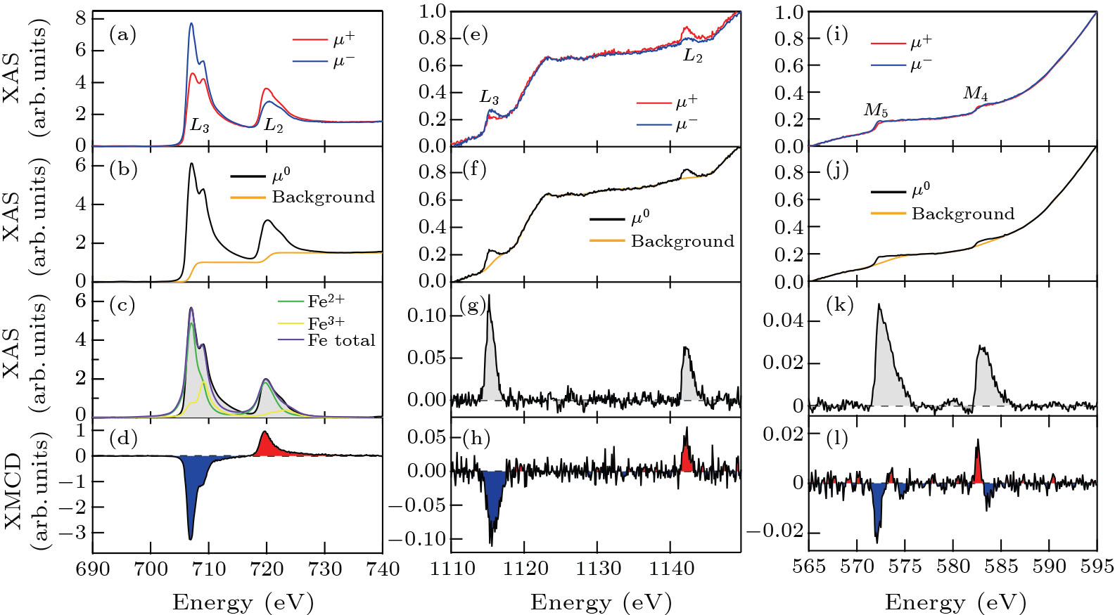 Enhanced Magnetic Interaction between Ga and Fe in Two-Dimensional van ...