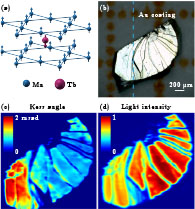 Magneto-optic Kerr Effect Measurement of TbMn6Sn6 at mK Temperature ...