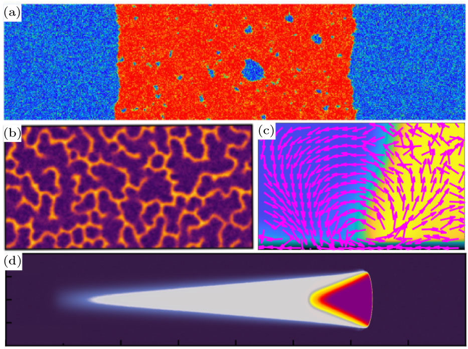 The Surprising Physics of Interfaces in Active Matter - IOPscience
