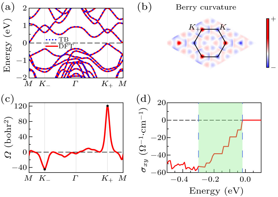 Giant Spontaneous Valley Polarization and Adsorption-Induced ...