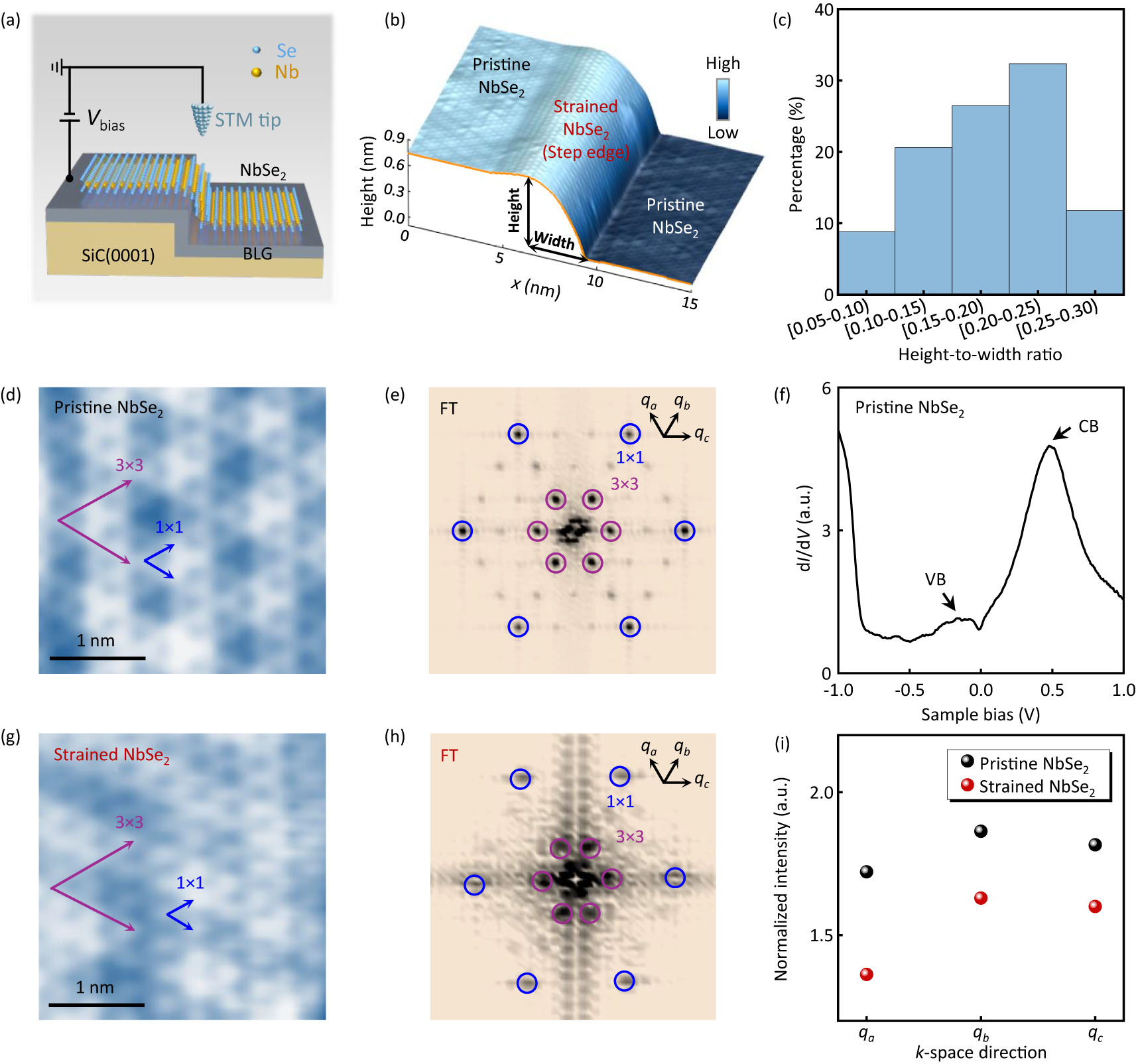 Strain-Induced One-Dimensional Magnetic Stripe in Metallic Monolayer H ...