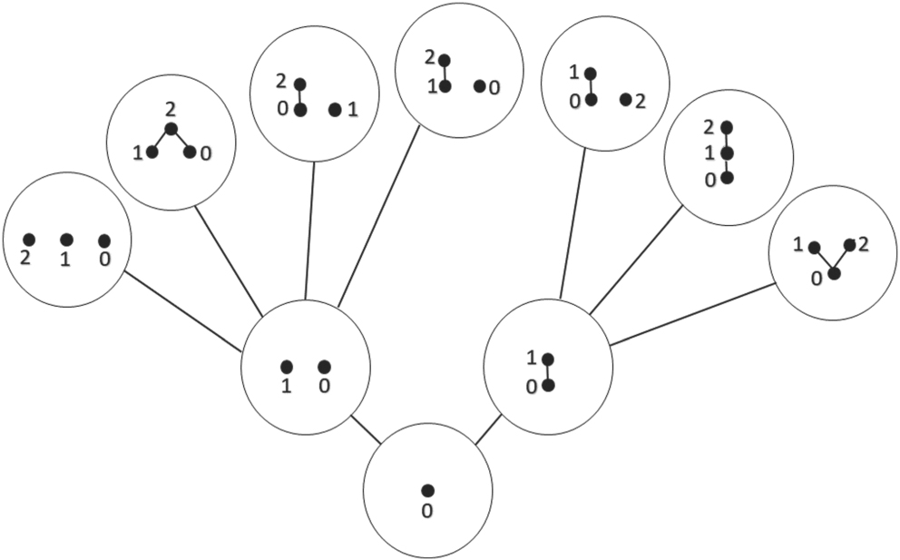 If time had no beginning: growth dynamics for past-infinite causal sets ...