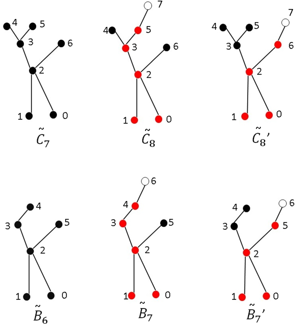 If time had no beginning: growth dynamics for past-infinite causal sets ...