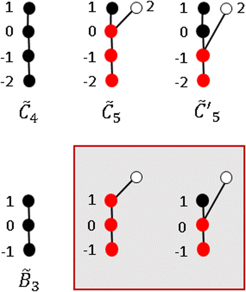 If time had no beginning: growth dynamics for past-infinite causal sets ...