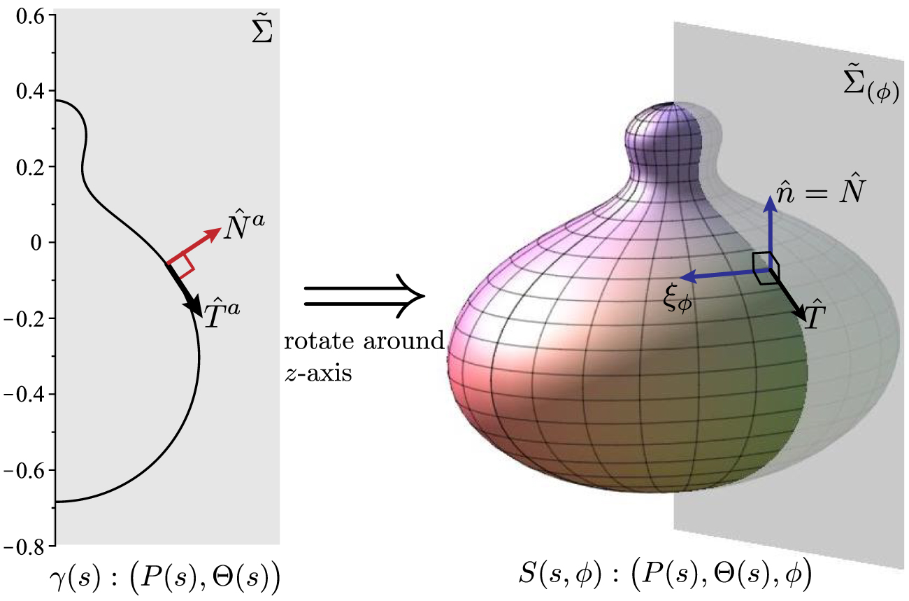 Exotic marginally outer trapped surfaces in rotating spacetimes of any ...