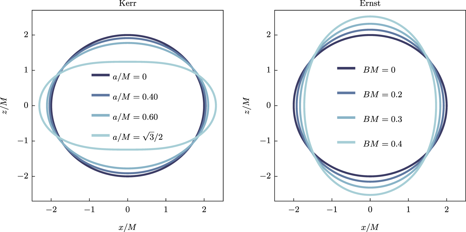 Null orbits and shadows in the Ernst-Wild geometry: insights for black ...