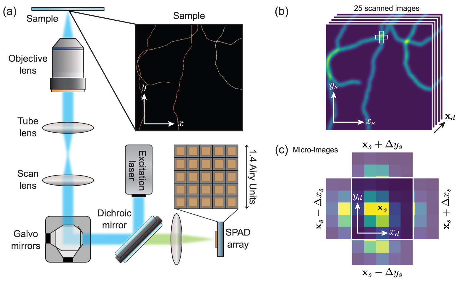 Reconstructing the image scanning microscopy dataset: an inverse ...